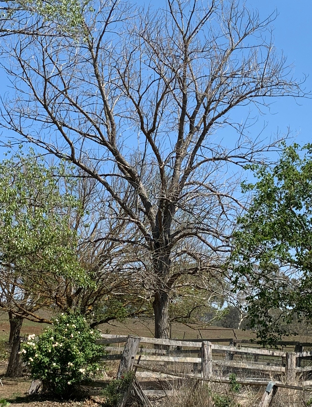 I’ve never seen anything like this before… | Progressive Conversation